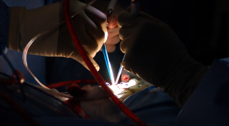 New Technology May Help Surgeons Save Lives | Academic Medicine